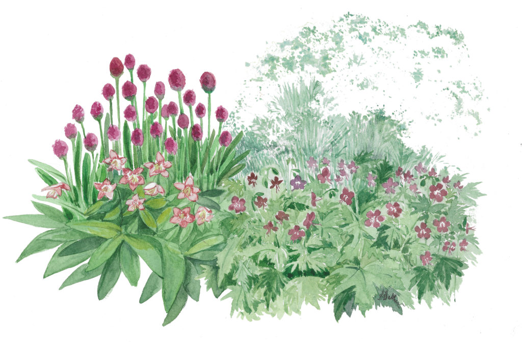 Des massifs fleuris pour la nature - Végétage